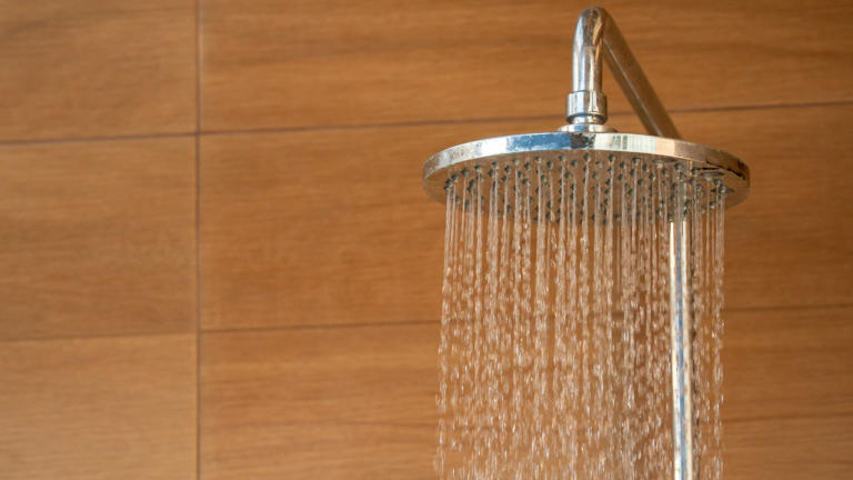 El truco casero para destapar los orificios de la ducha en pocos ...