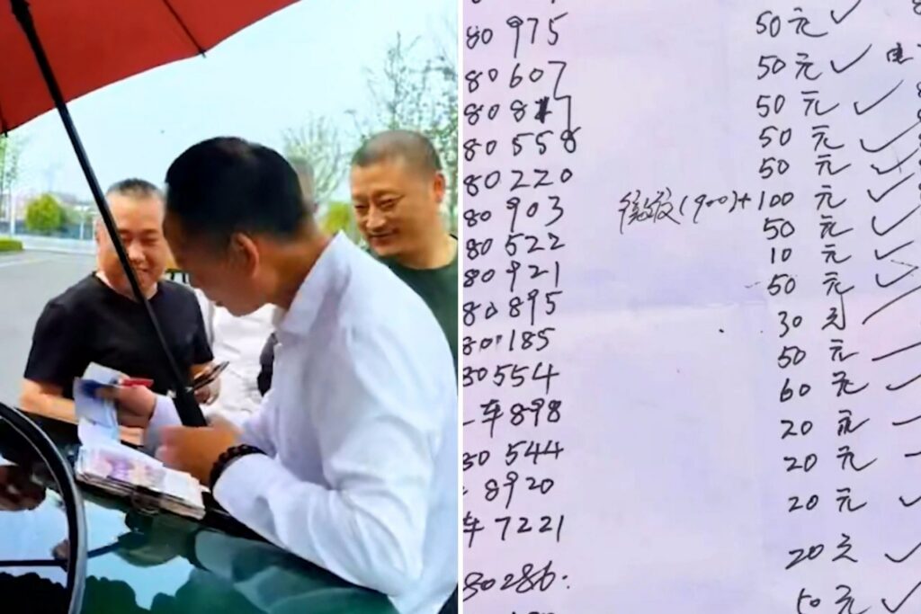 Stray dog visited taxi drivers for food every day until she was found ...