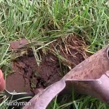 How to correct soil pH