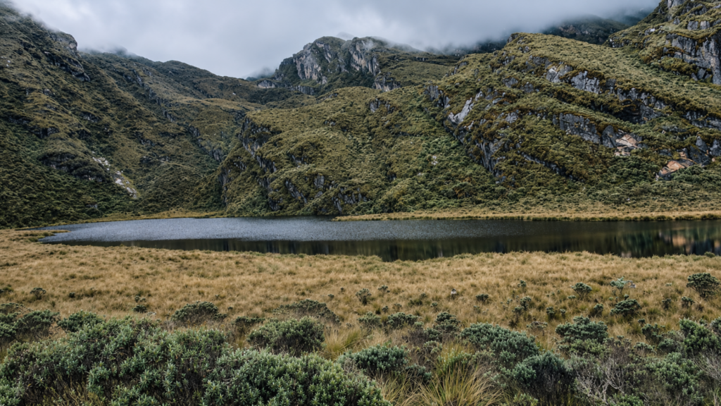 A mountain range thought too wet to burn saw its first major fire in ...