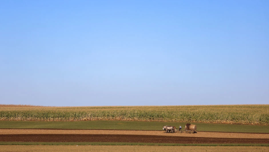10 common Amish jobs