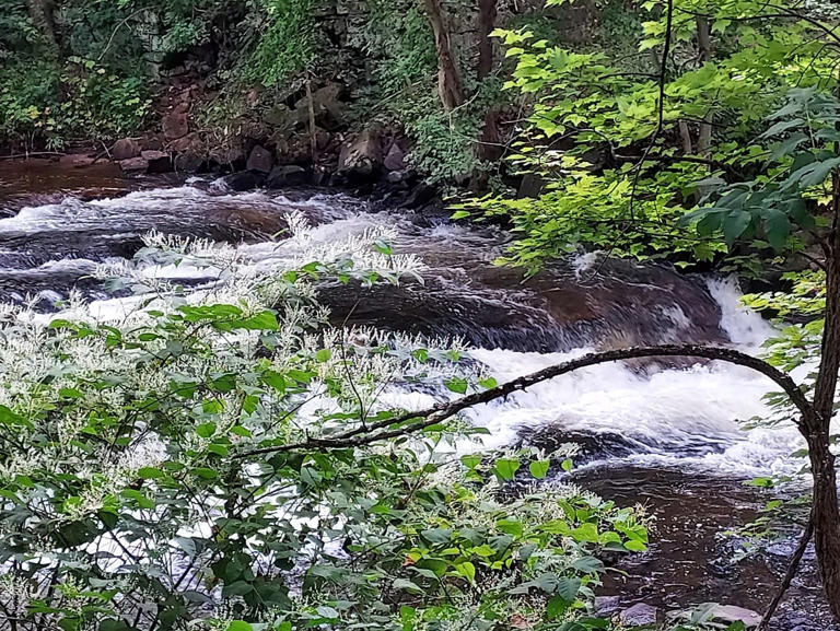 SMC couple drowns at Kings Canyon waterfall: Police