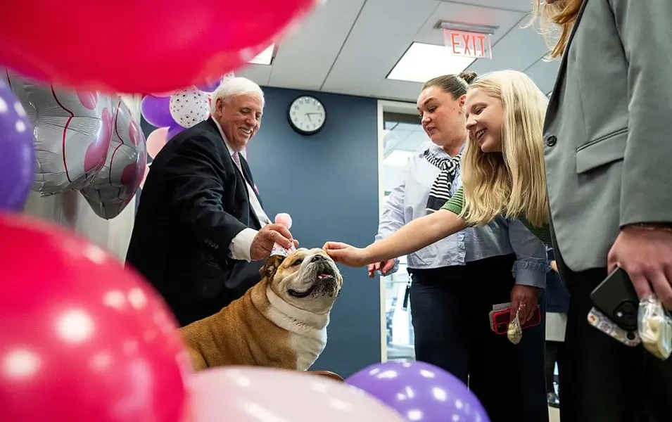 Keeping your English bulldog happy and healthy