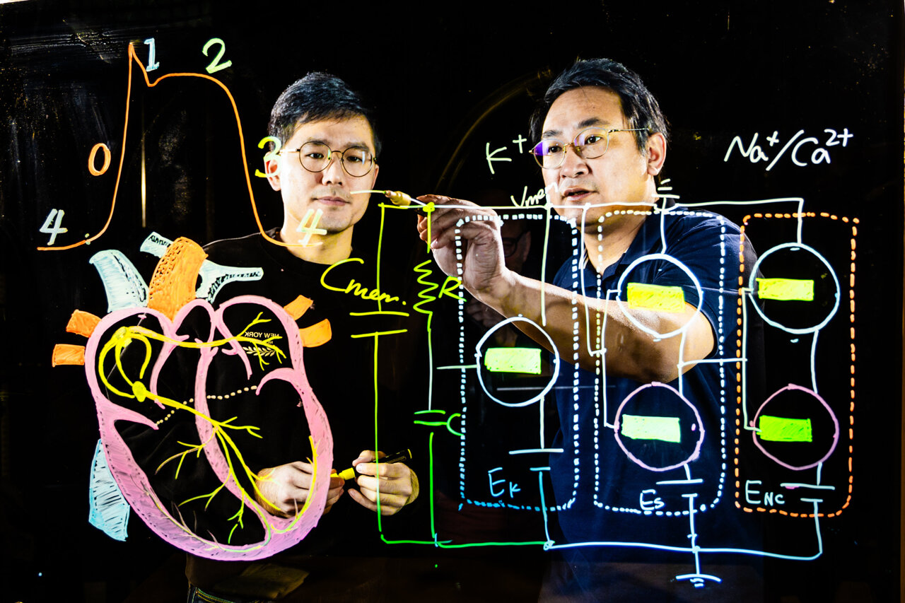 Conductive plastic mimics heart cell ion signaling for first time