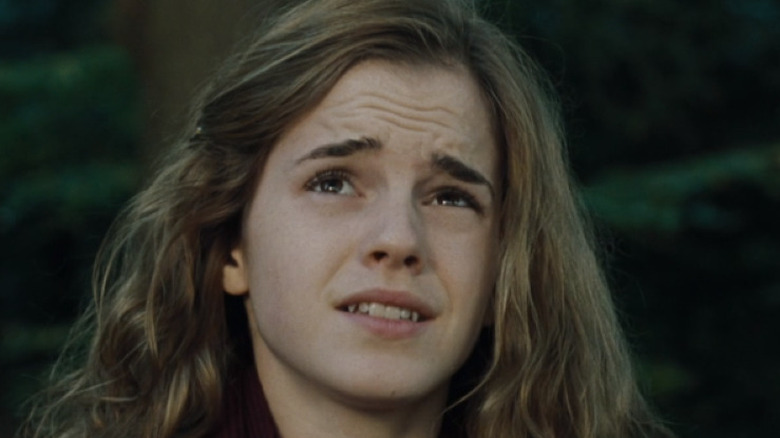 Questionable things we ignore in the Harry Potter franchise