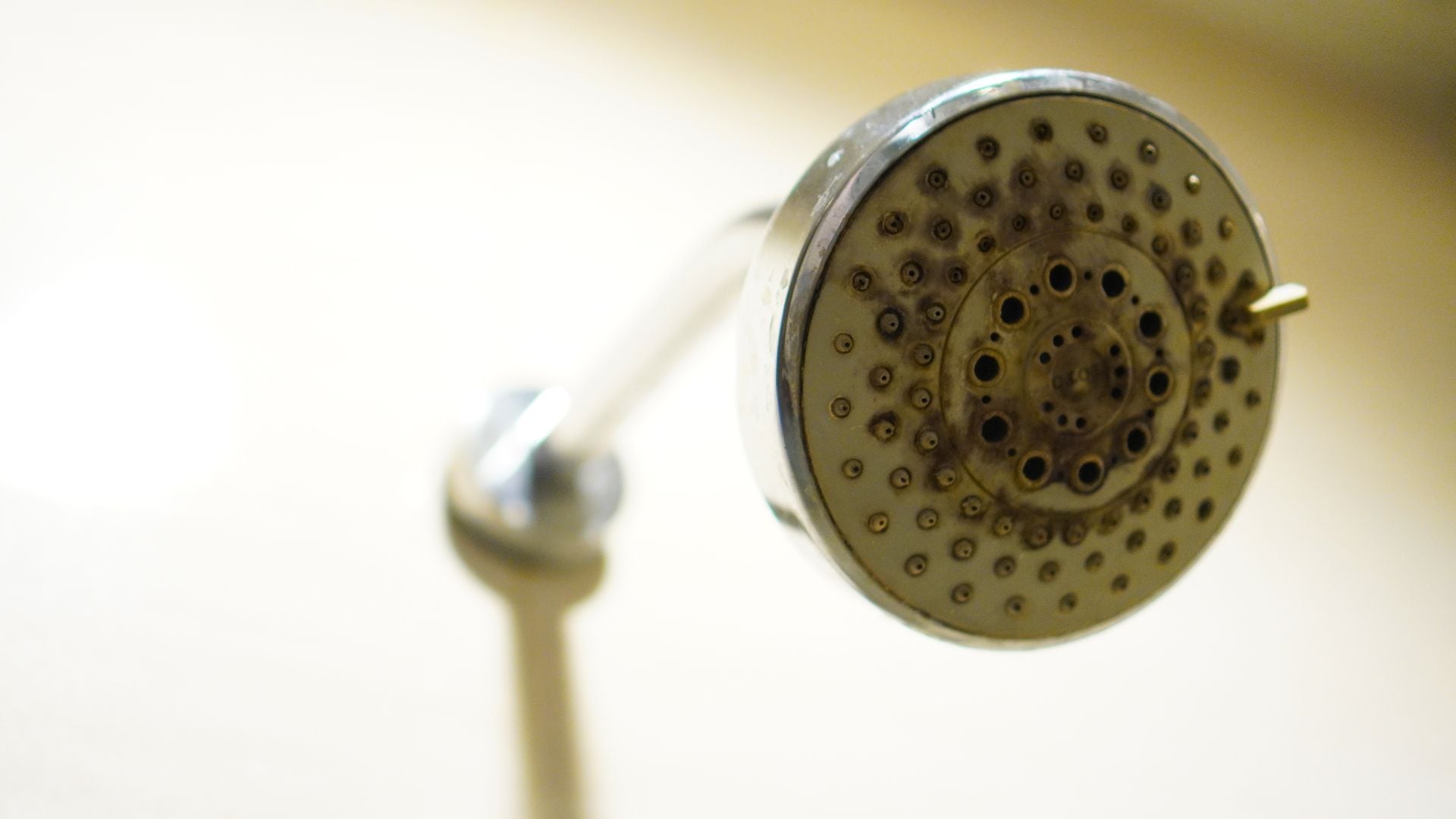 El truco casero para destapar los orificios de la ducha en pocos ...