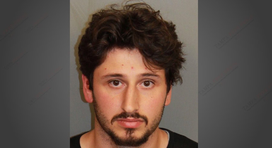 Horrific I-65 highway cruelty: Alabama man arrested after 5 kittens ...