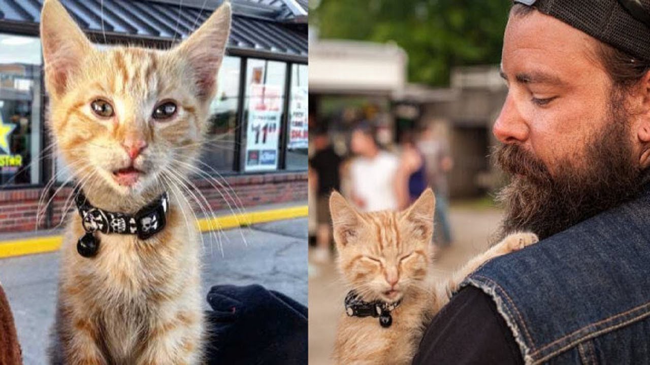 This biker quickly tucked what he found at a truck stop in his vest you ...