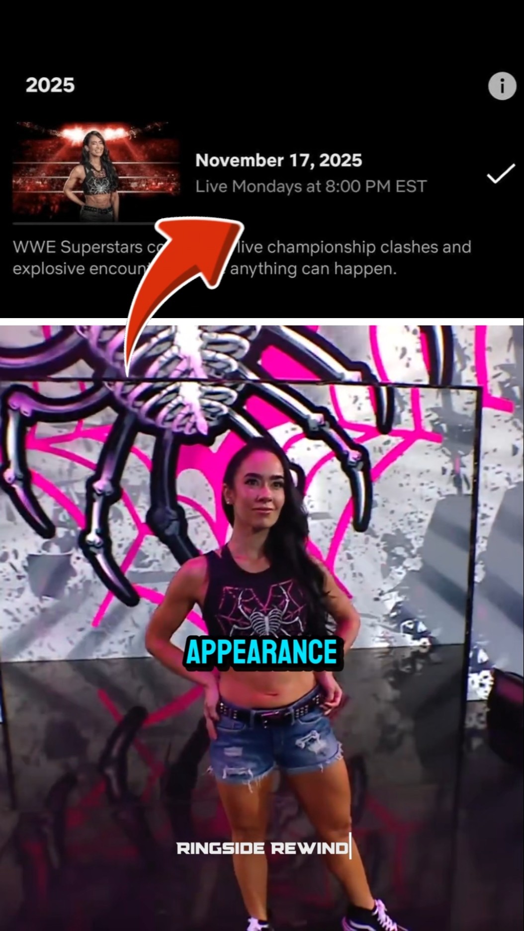 Did Netflix just spoil AJ Lee's next appearance?