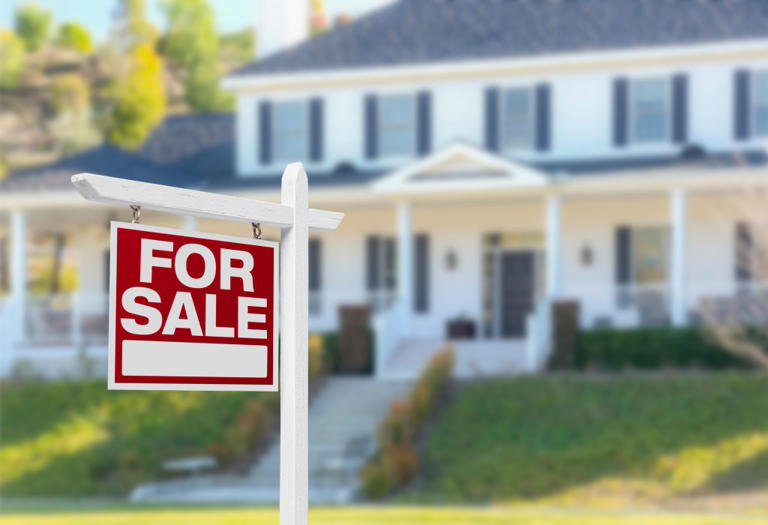 Home prices post record drop as buyers rush back into a suddenly ...