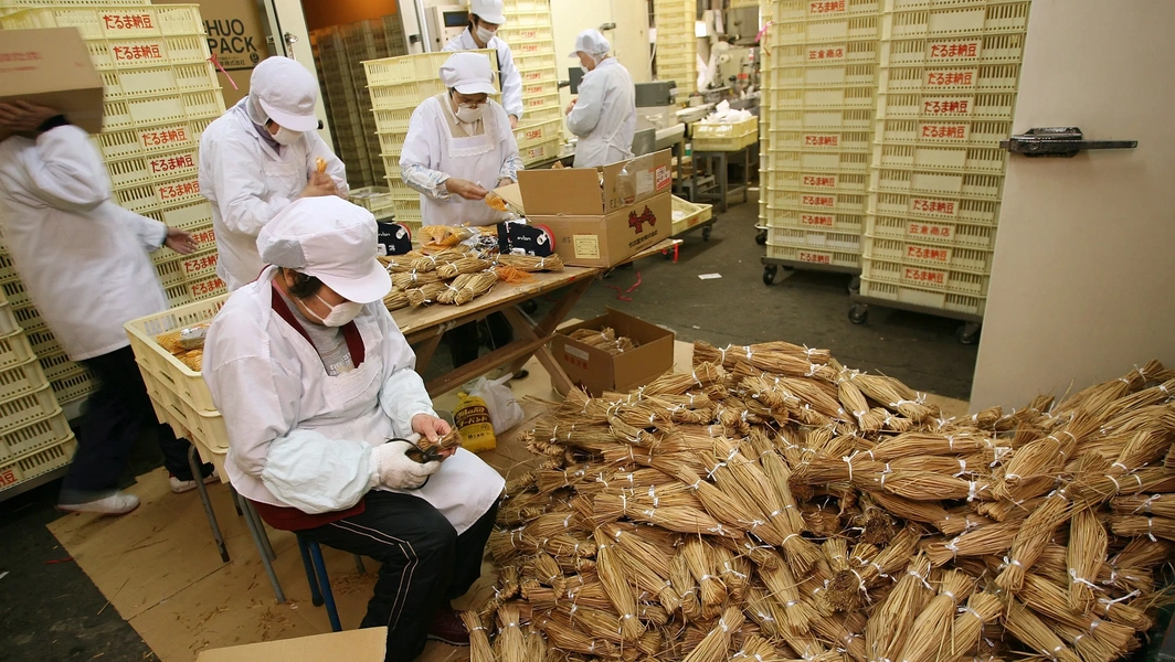 Gut-friendly foods inspired by Japanese traditions