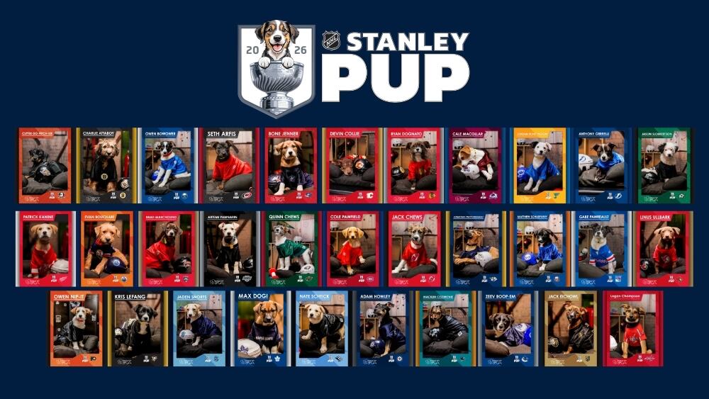 Meet the dog representing the St. Louis Blues in the 'Stanley Pup'