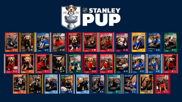 Meet the dog representing the St. Louis Blues in the 'Stanley Pup'