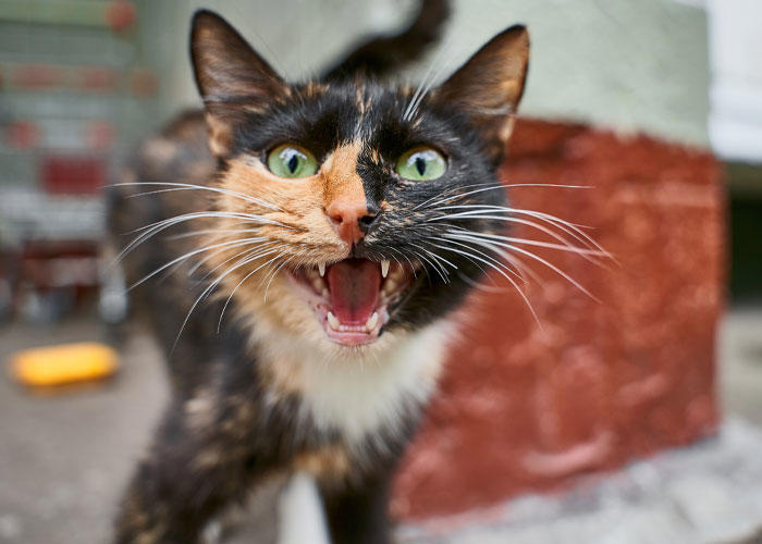 Today I learned: 30 recently discovered things about the world