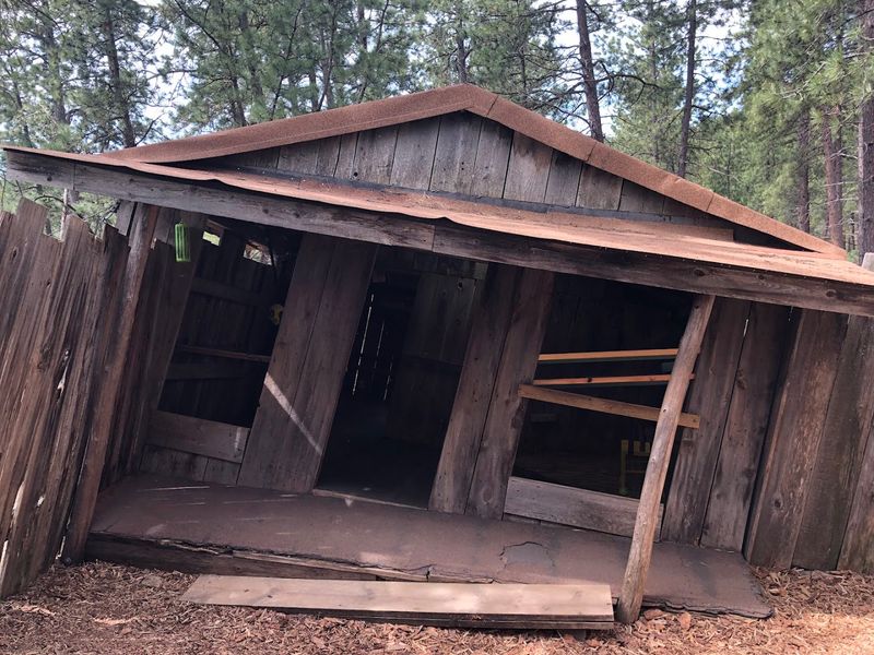 This South Dakota mystery spot makes water flow uphill and people shrink