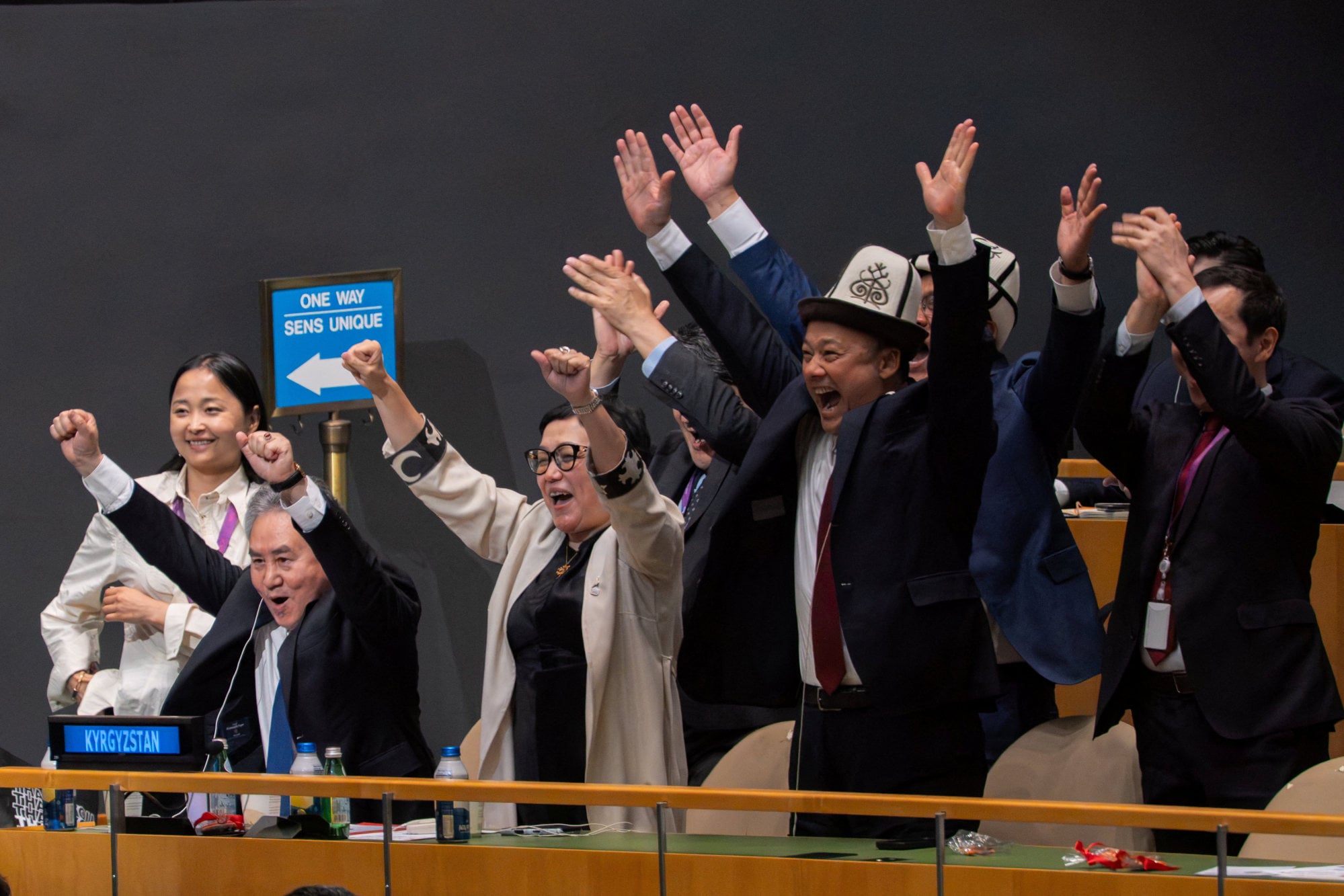 Portugal and Austria defeat Germany for seats on UN Security Council