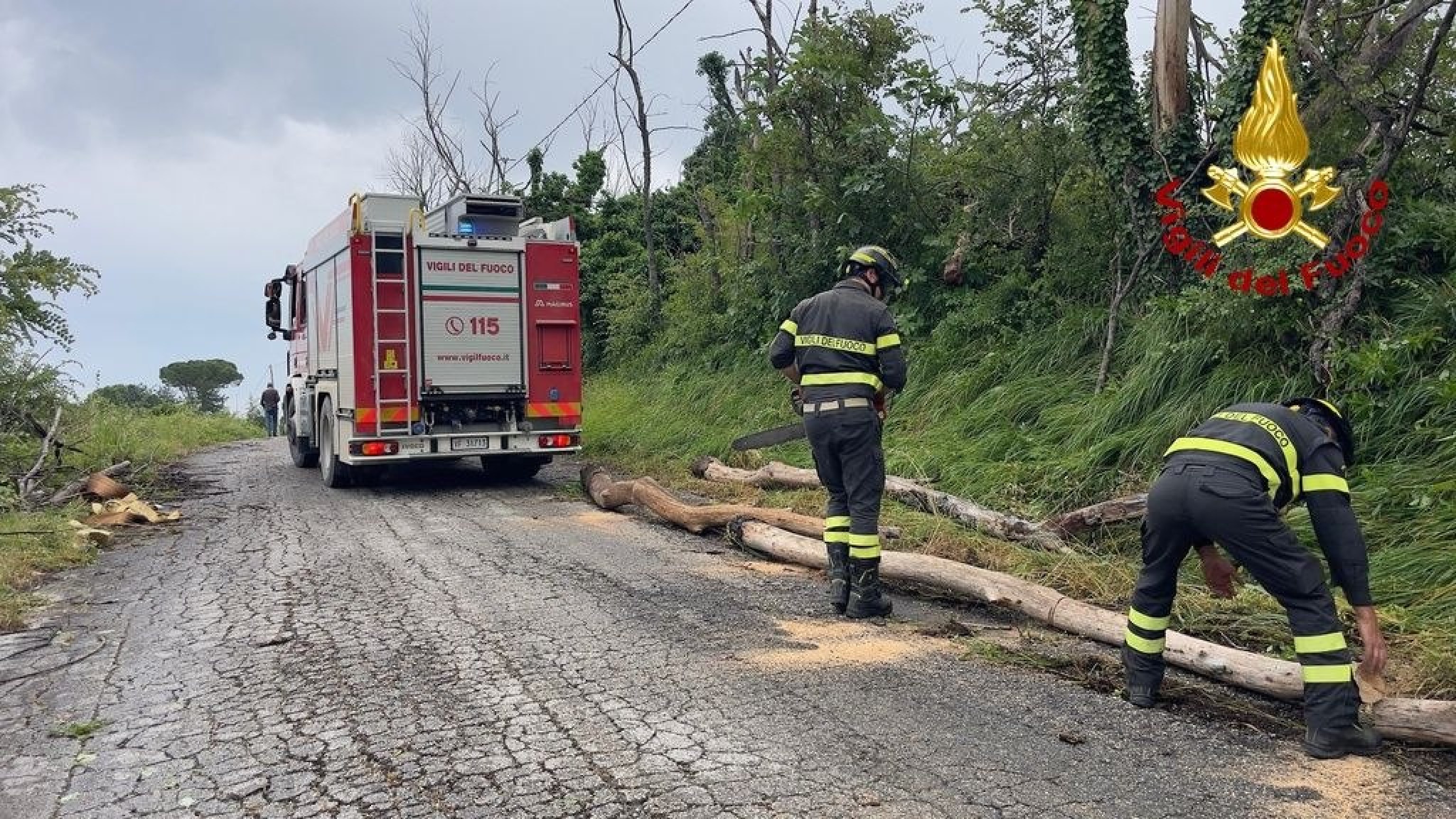 Forte grandinata nel Maceratese, un albero precipita su un'auto