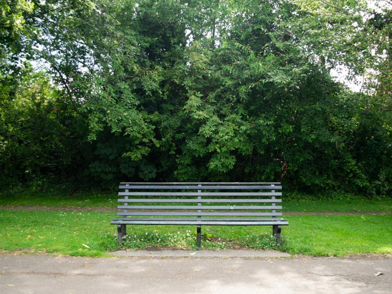 New pocket park proposed for this Alexandria neighborhood, community ...