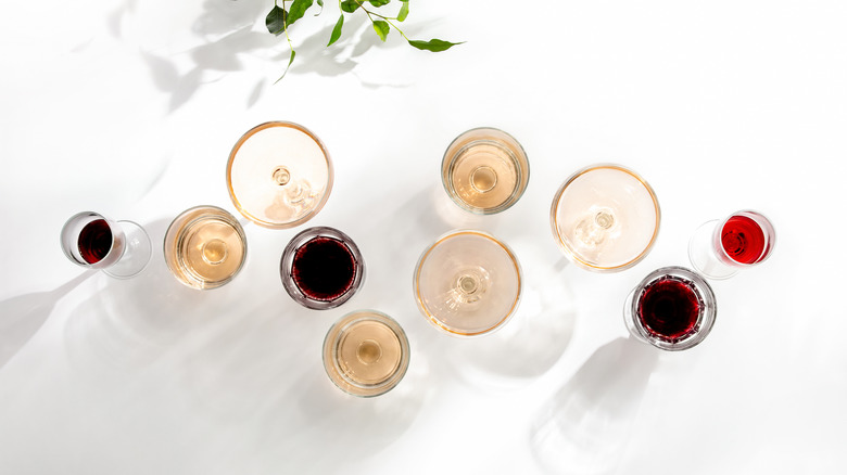 20 types of wine glasses explained