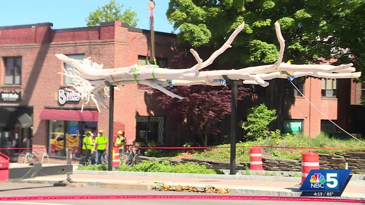 Burlington celebrates installation of 'Lake Bone' sculpture downtown