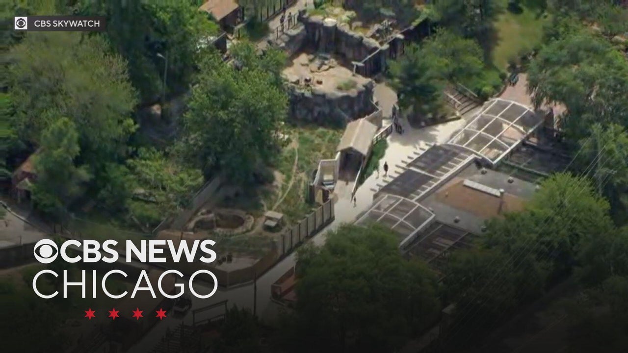 Michigan City Zoo animal care workers attacked by wolves