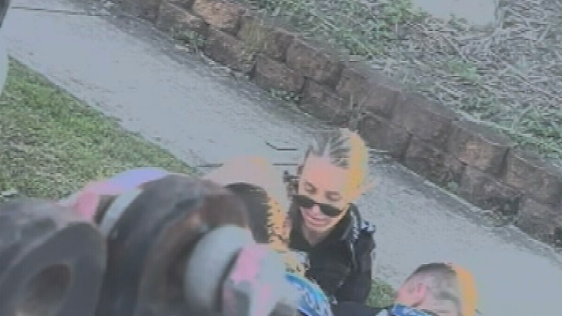 Footage captures dramatic arrest of alleged car thieves