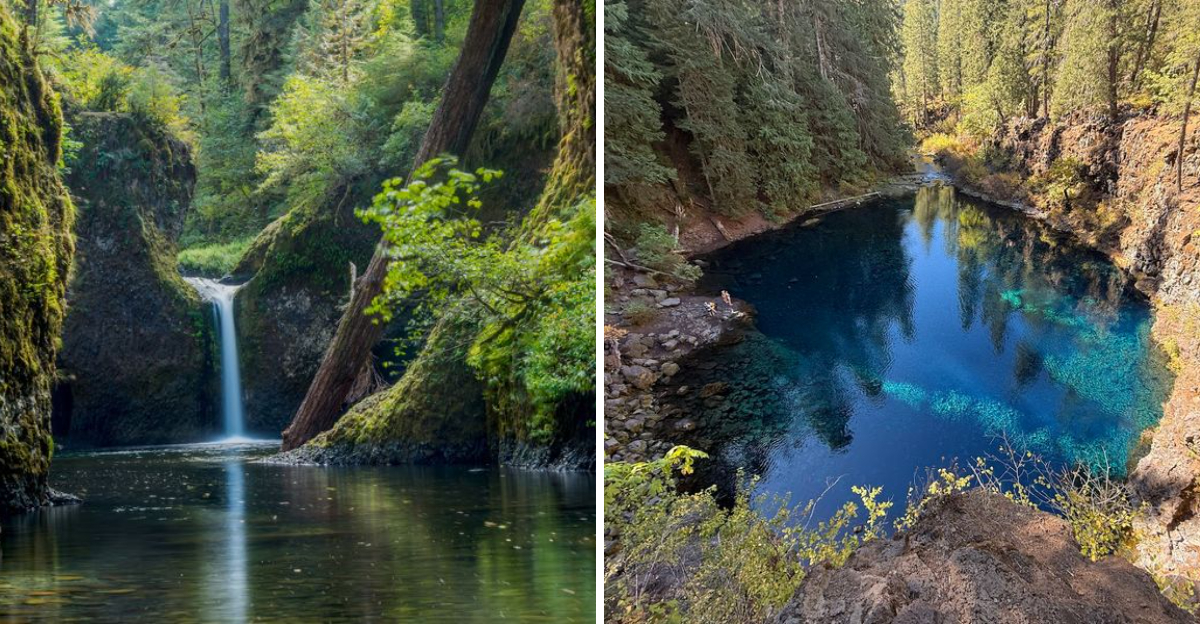 These 10 secret swimming holes in Oregon are summer perfection