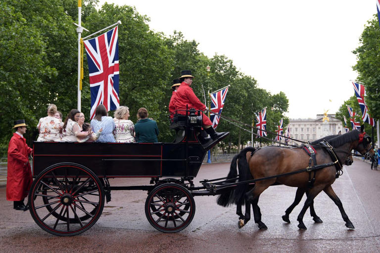Queen Camilla hosts magical day for ill children, complete with ...