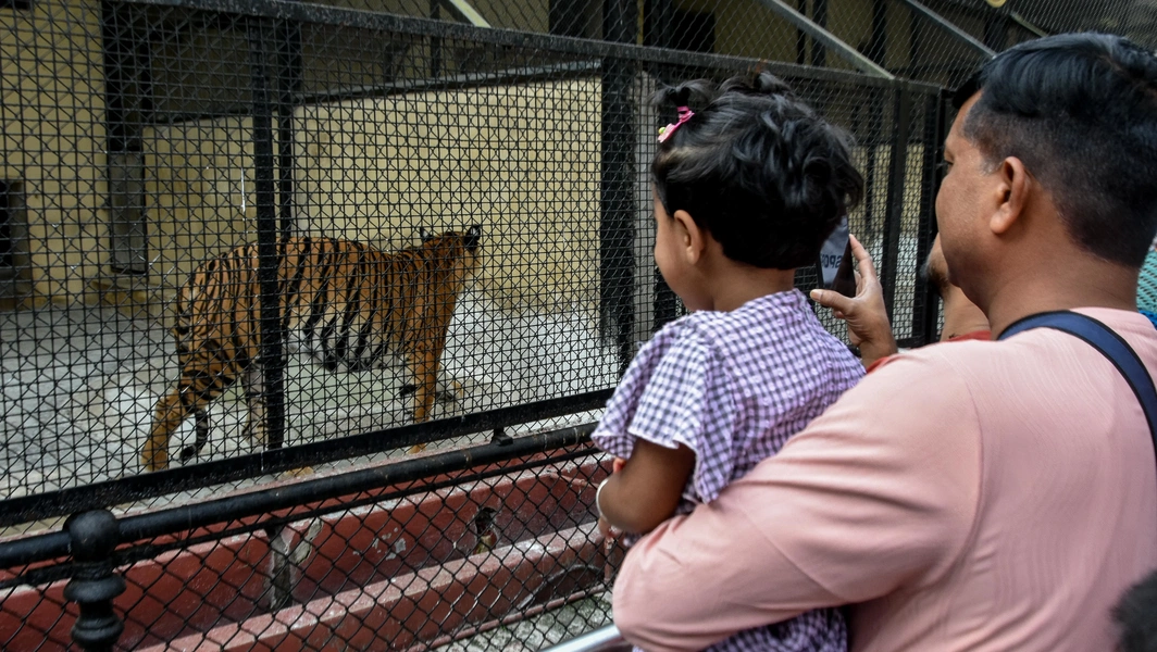 10 countries with the largest wild tiger populations