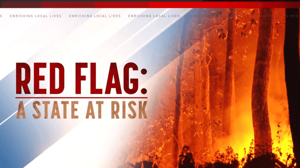 Red flag: A state at risk