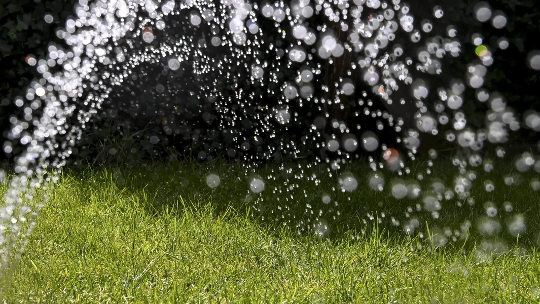 16 common lawn watering mistakes