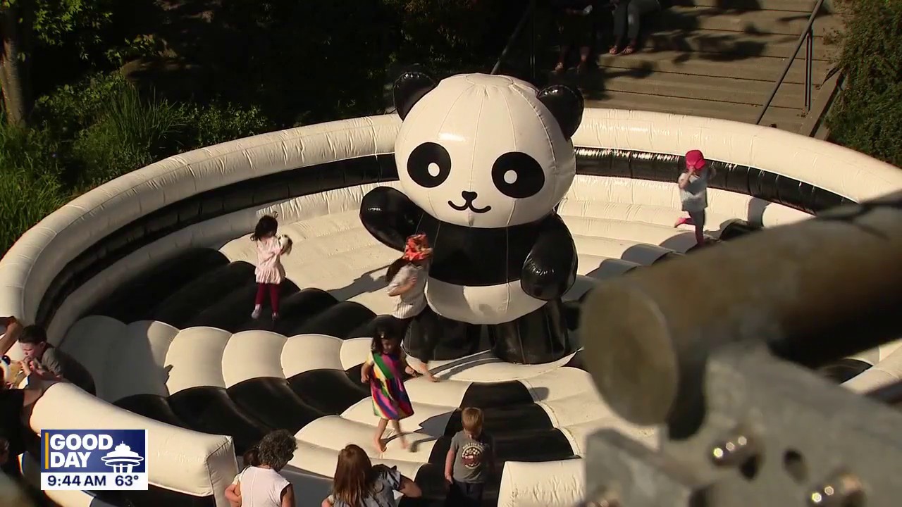 Panda Fest returns to Seattle Center in late August