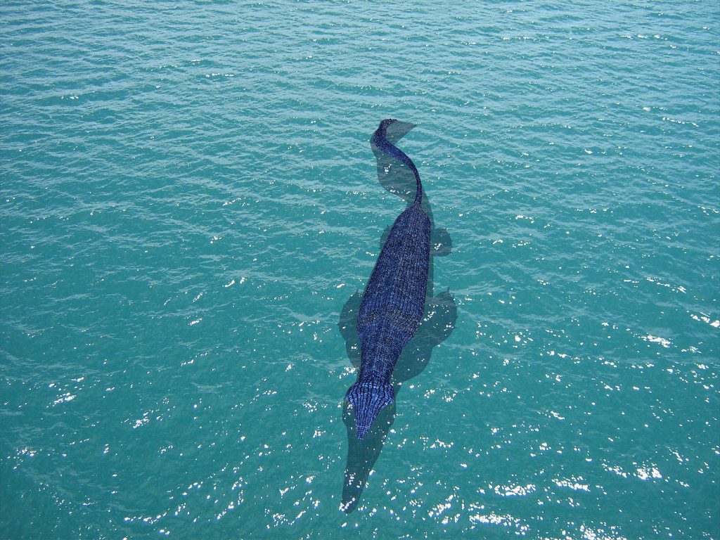 Sea creatures so massive they make great white sharks look tiny