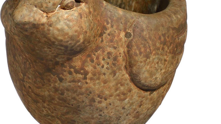 Amazon's 'gorgeous' bird-shaped planter is only $12 — 'absolutely love ...