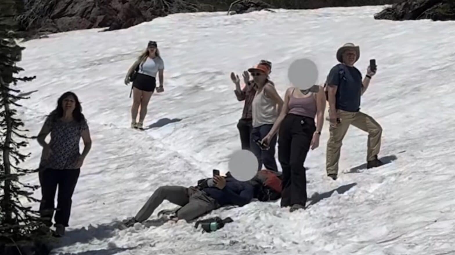 Surprise grizzly bear attack injures hiker on popular Glacier National ...