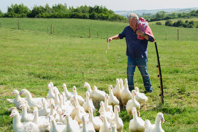 Stream it or skip it: ‘Clarkson’s Farm’ season 5 on Prime Video, where ...