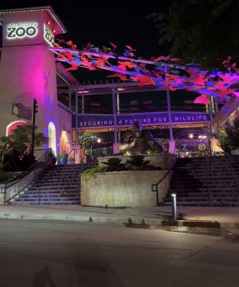 New York zoos agree to fly Spurs flag if team wins NBA Finals