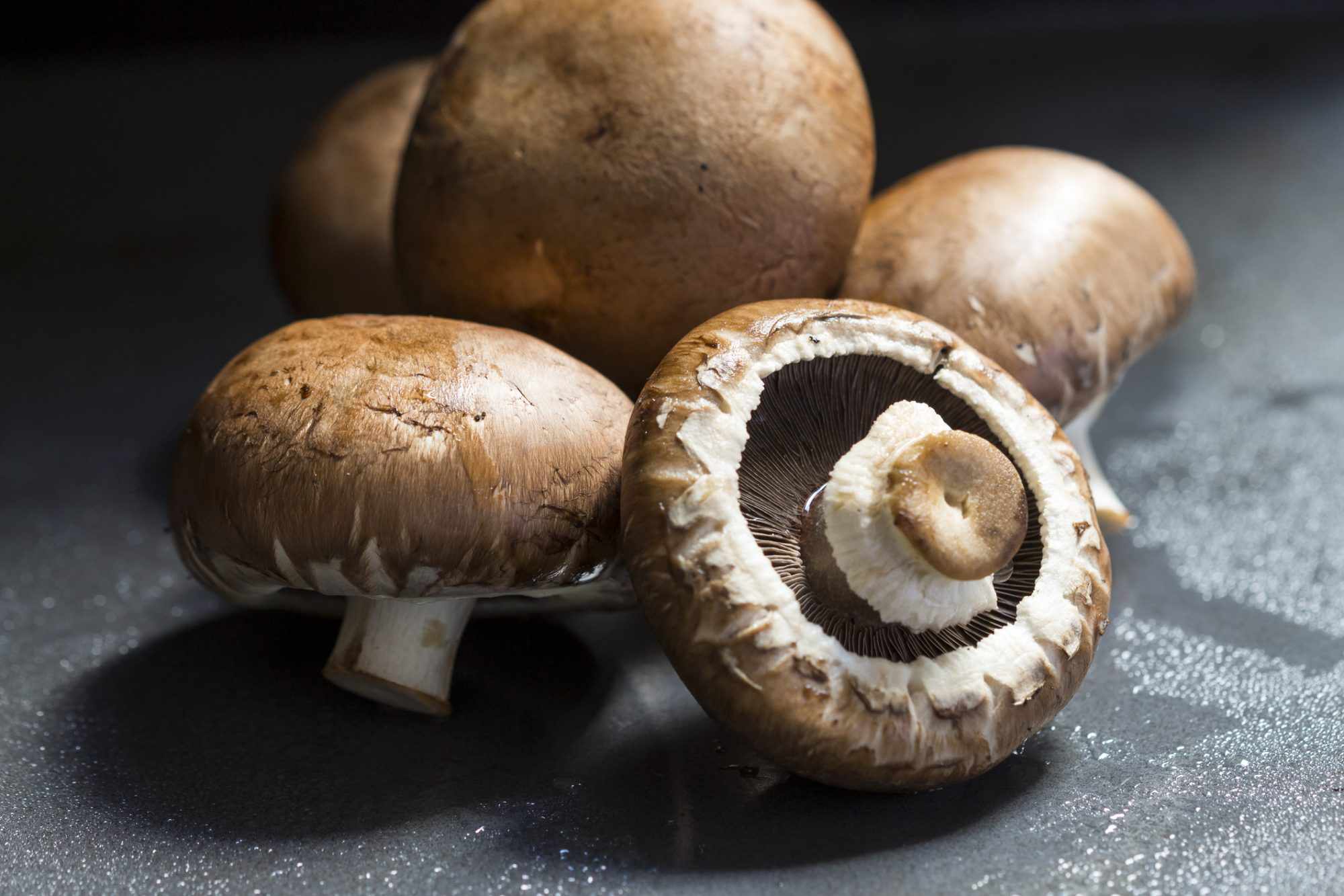 How to store mushrooms so they don't turn slimy before you can use them