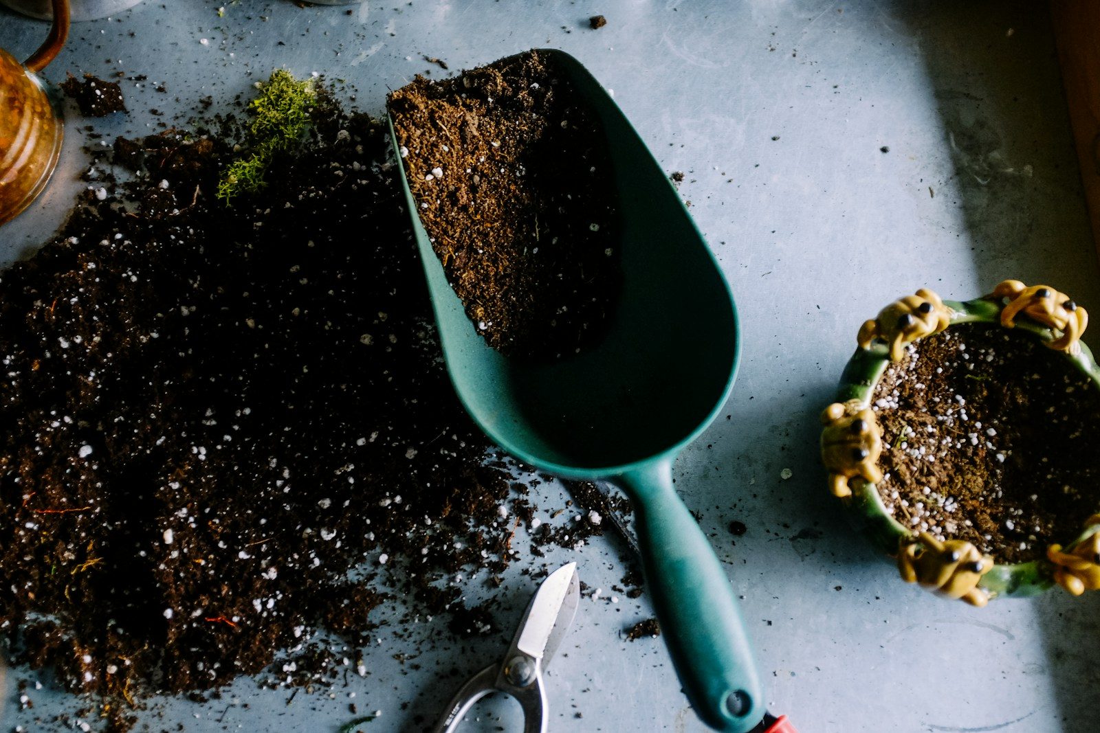 8 of the best natural fertilizers for a healthier garden