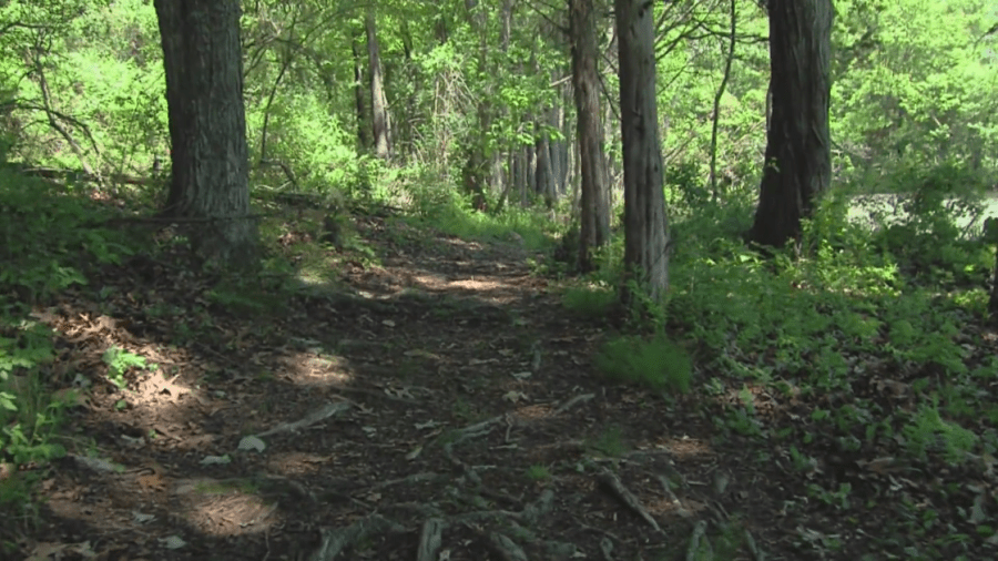 Volunteers needed for upcoming National Trails Day