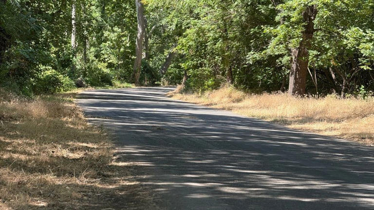 Chico announces South Park Drive road rehabilitation project starting ...