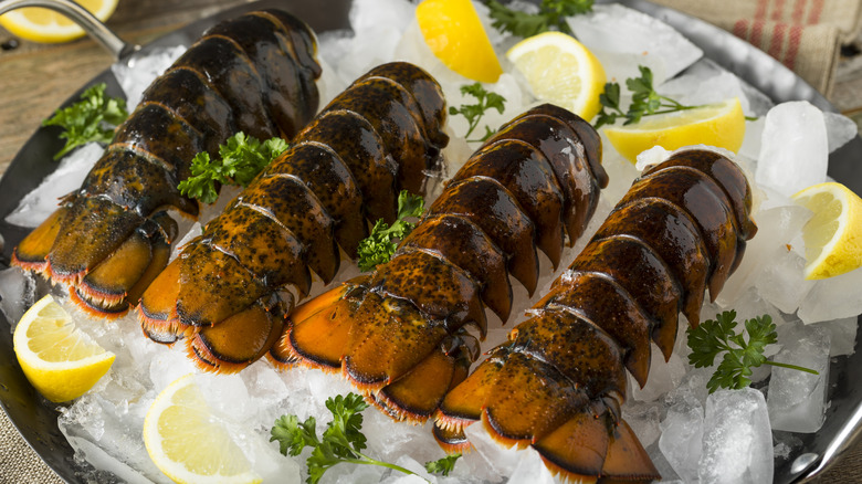 How to sous vide lobster tail