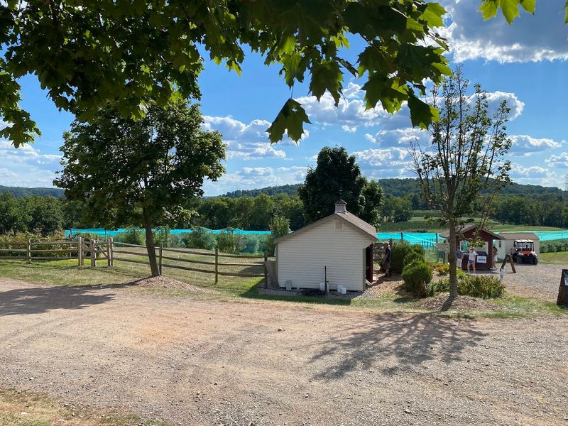 The 300-year-old New Jersey farm where you fill your own bucket with ...