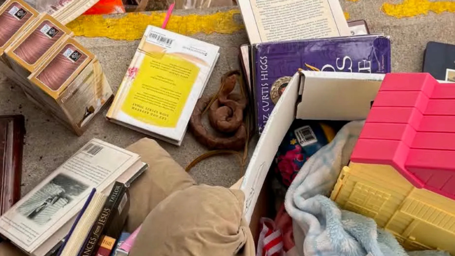 West Virginia pantry workers find venomous snake in donation bag