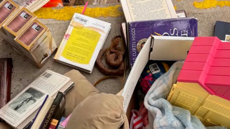 West Virginia pantry workers find venomous snake in donation bag
