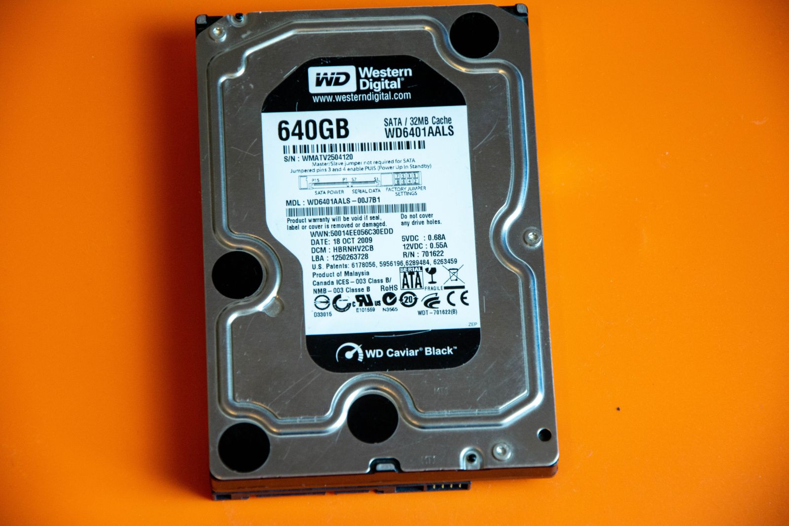 Up 1,000% in the past year, it’s too late to buy Western Digital stock