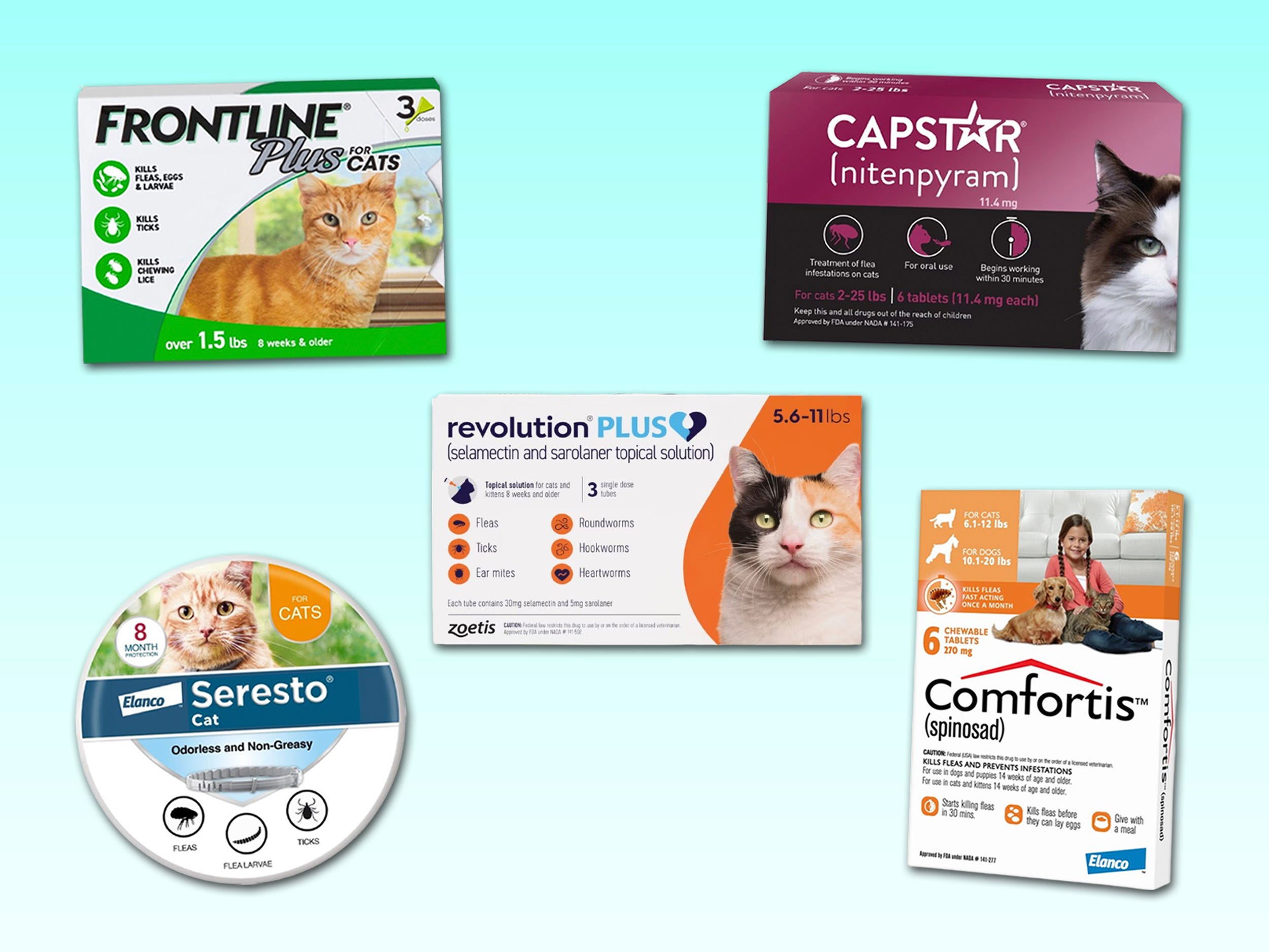 The best flea and tick treatments for cats