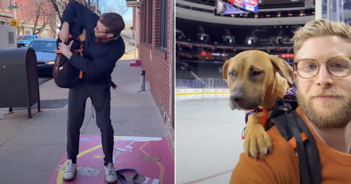 Dog rescued from a house fire gets to live his best day ever
