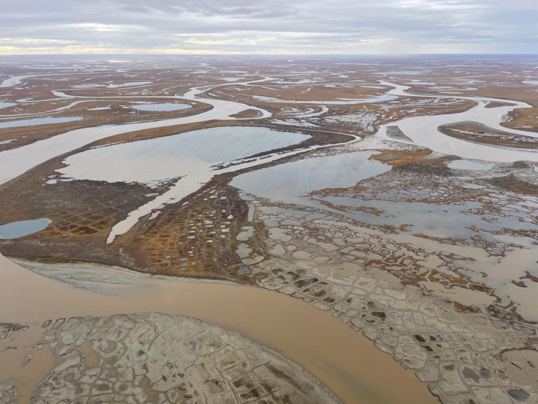Arctic river deltas face rising climate pressure while holding vast ...