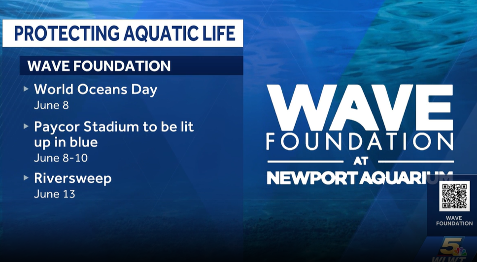 WAVE Foundation fostering next generation of environmental stewards in area